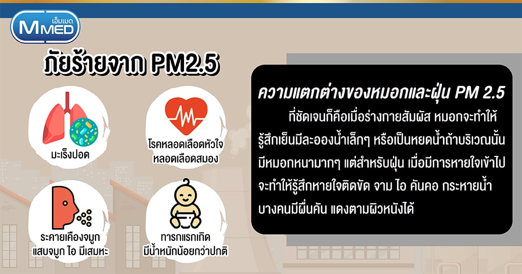 ฝุ่น PM 2.5 มลพิษทางอากาศ - M MED ผลิตภัณฑ์คุณภาพ มาตรฐาน จาก ...
